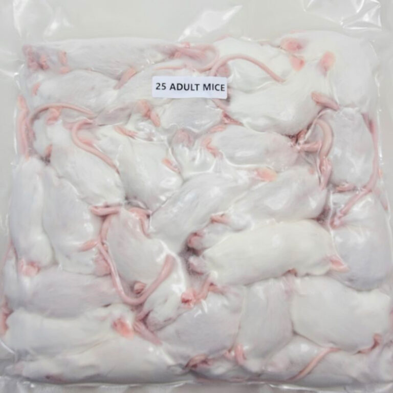 Frozen Fuzzy Mice (50/BAG) - Rodent King | Canada