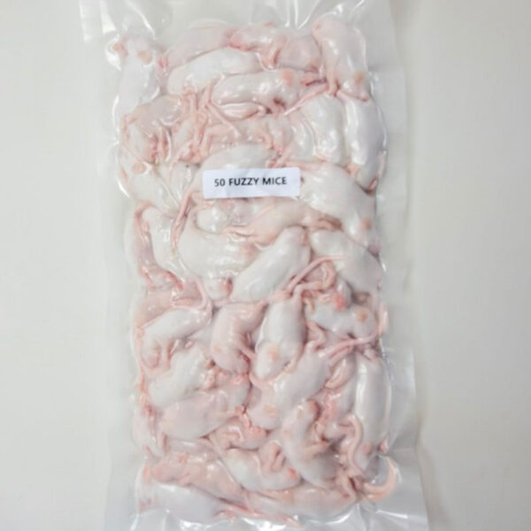 Rodent King | Canada - Premium Frozen Feeder Mice and Rats