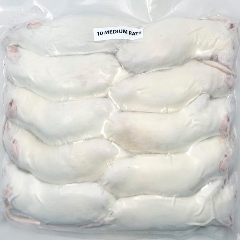 Frozen Medium Rats - Rodent King | Canada