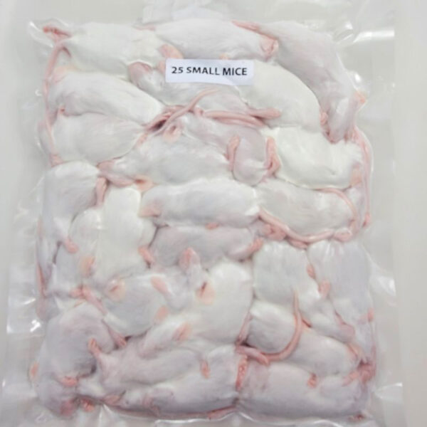 Rodent King | Canada - Premium Frozen Feeder Mice and Rats