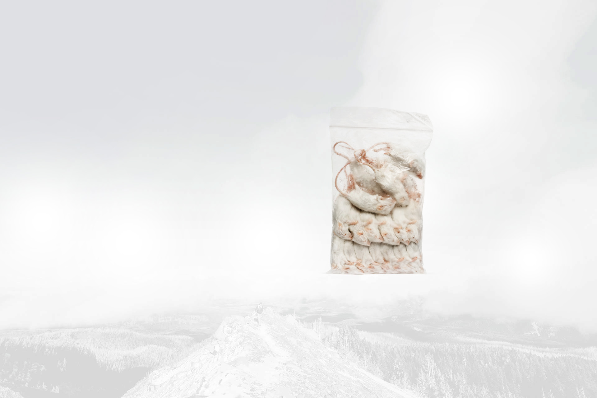 FROZEN FEEDERS - Rodent King