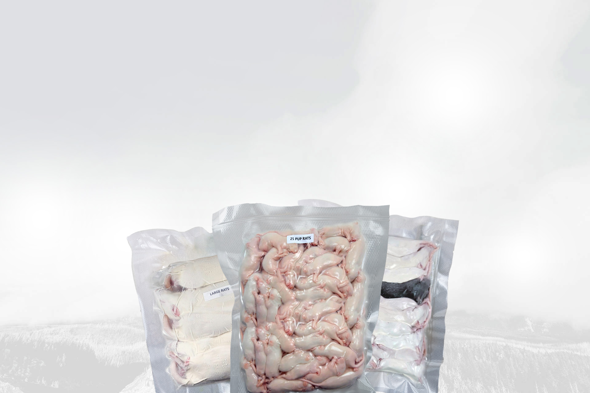 Rodent King | Canada - Premium Frozen Feeder Mice and Rats